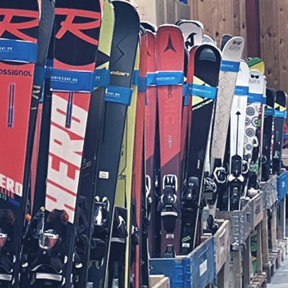 Skis for the whole family I Big online sale with cheap skis