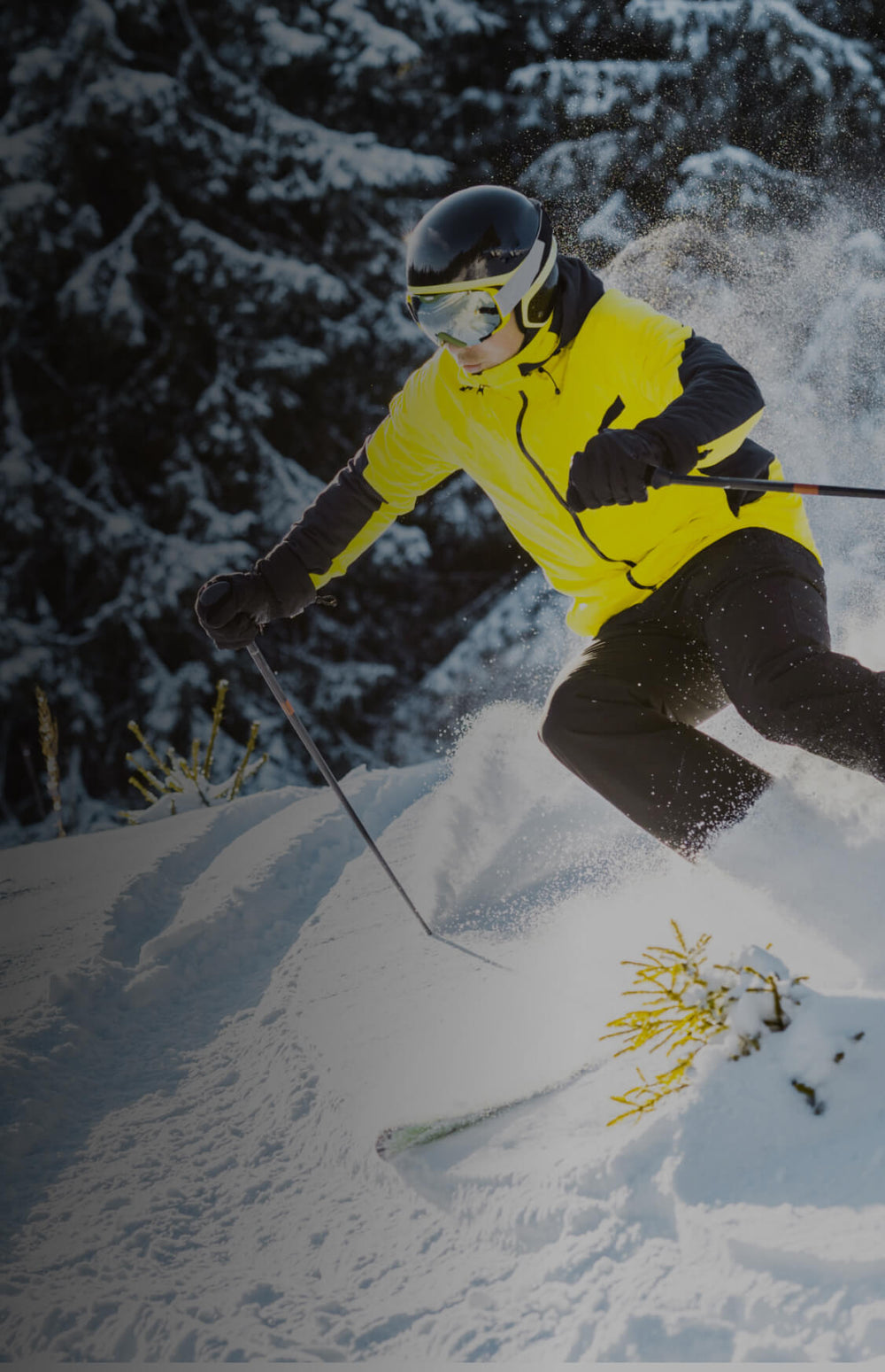 Secondskis.com | Huge selection of used skis and ski equipment online