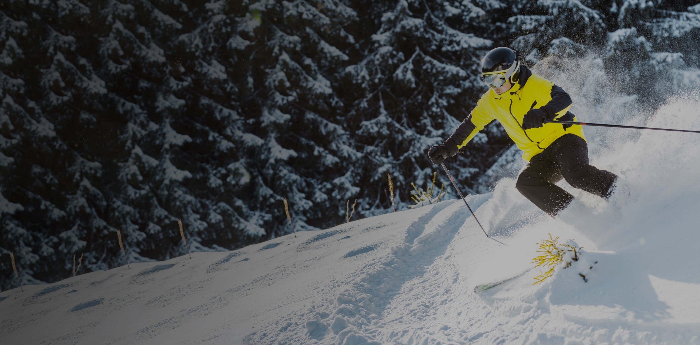 Secondskis.com | Huge selection of used skis and ski equipment online